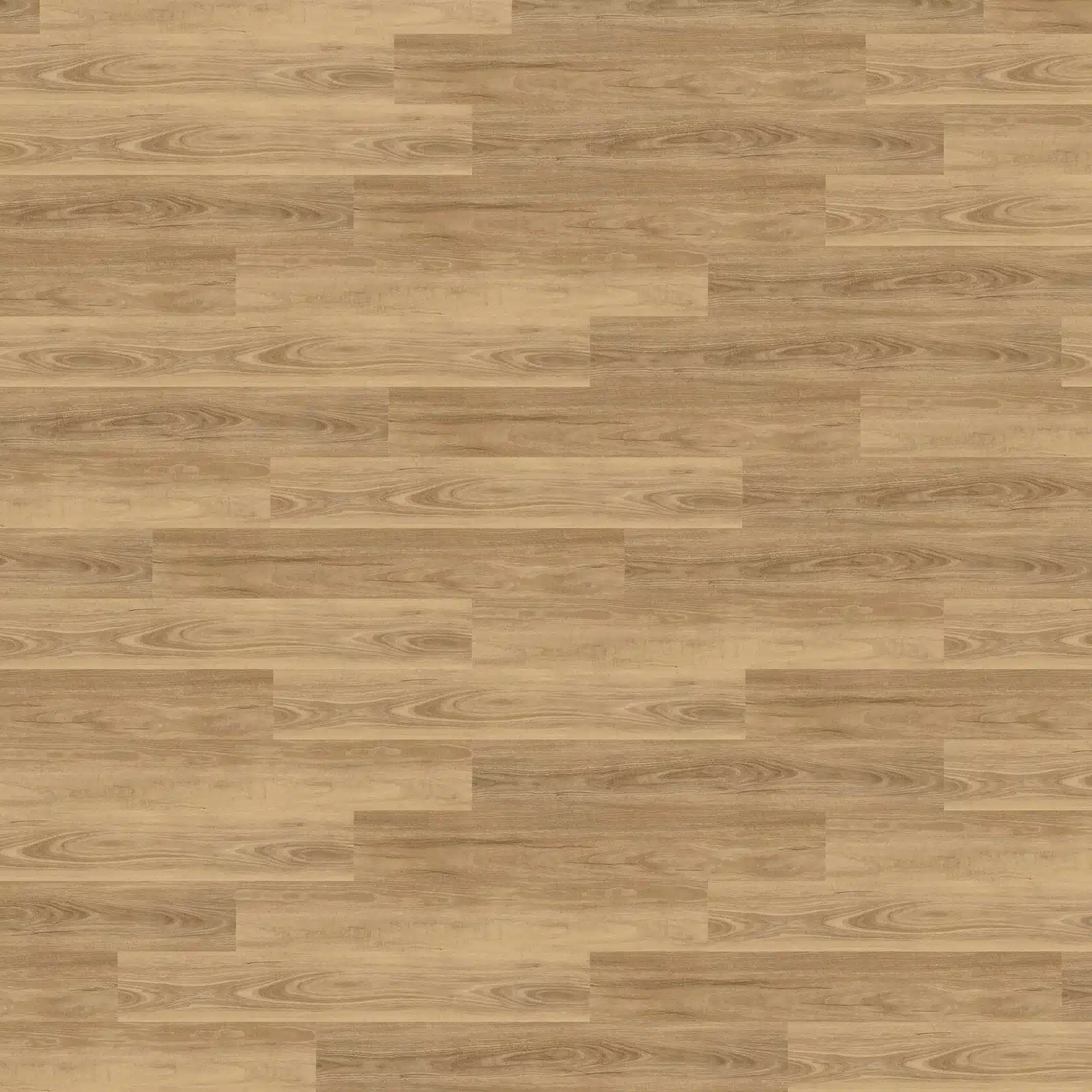 Polaris 1500 - Perfect Floors